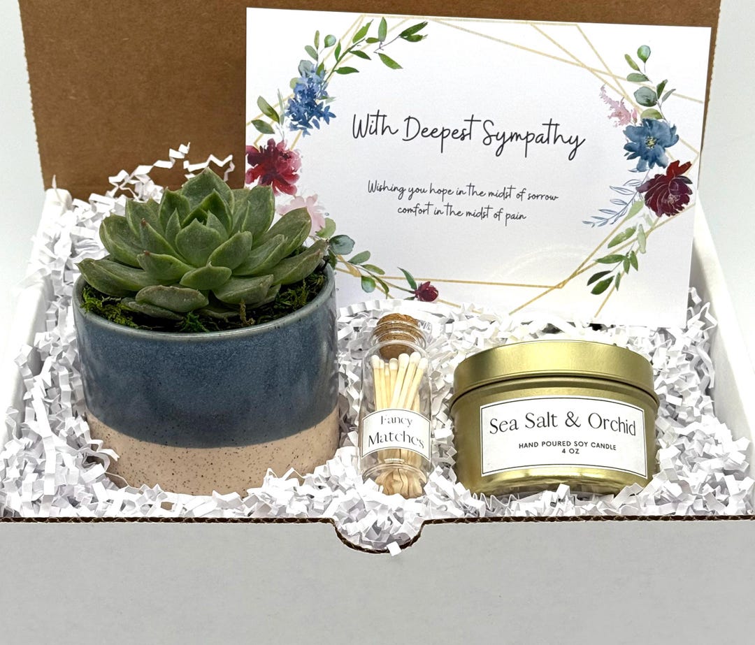 Bereavement Care Package, Sympathy Gift, Condolence Gift Box, Succulent ...