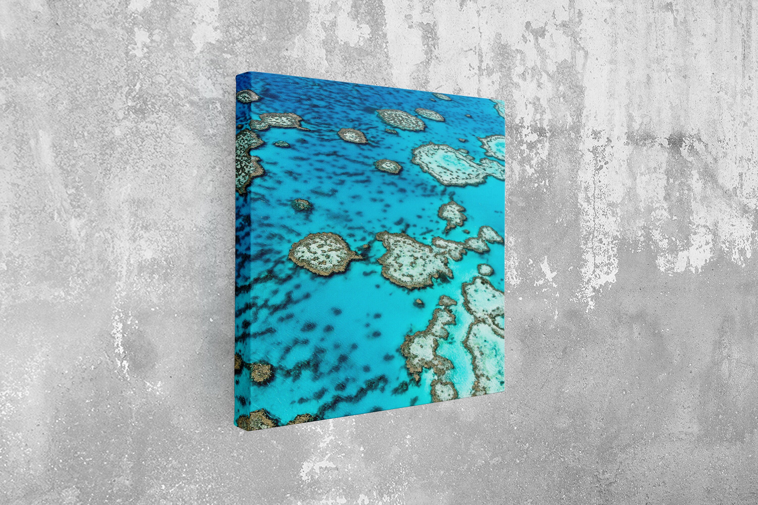 Coral Reef Tropical Ocean Print Glass Printing Canvas | Etsy
