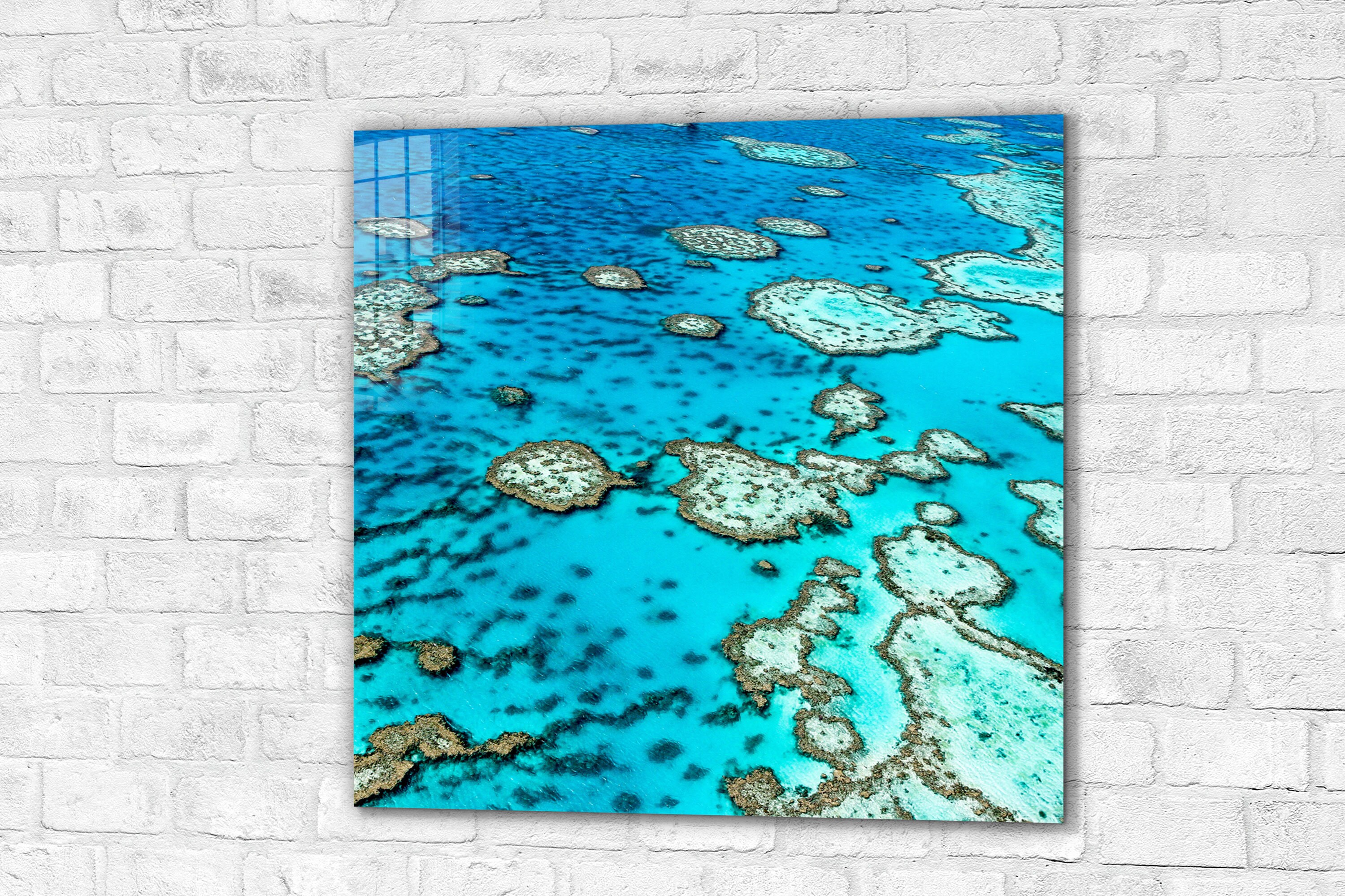 Coral Reef Tropical Ocean Print Glass Printing Canvas | Etsy