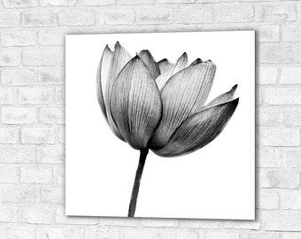 X Ray Flower Print - Etsy