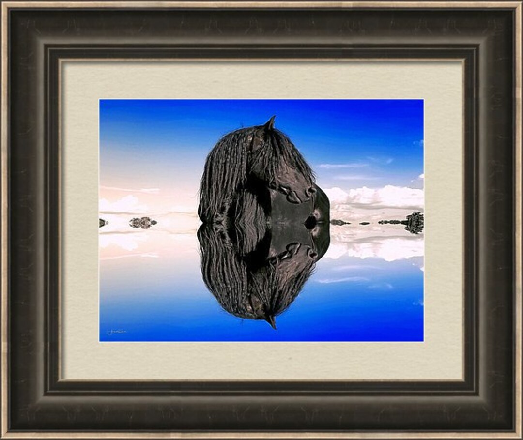 Amanda Smith "the Power in My Reflection" A Horse Rescue Heart Warming ...