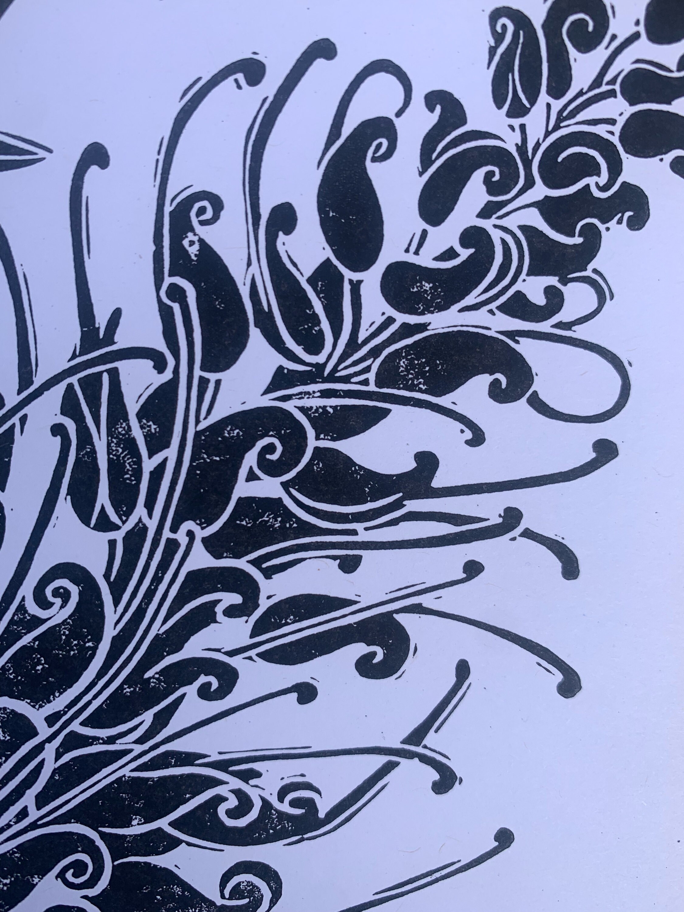 Grevillea, Callistemon, Brachyscome Daisy and Correa Lino Printed Greeting Cards - Etsy