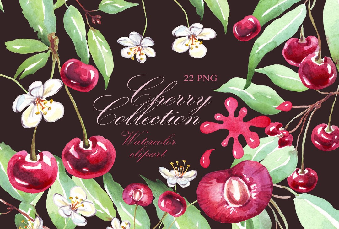 Watercolor Cherry Clipart PNG, Handpainted Bright Summer Fruits, Summer ...