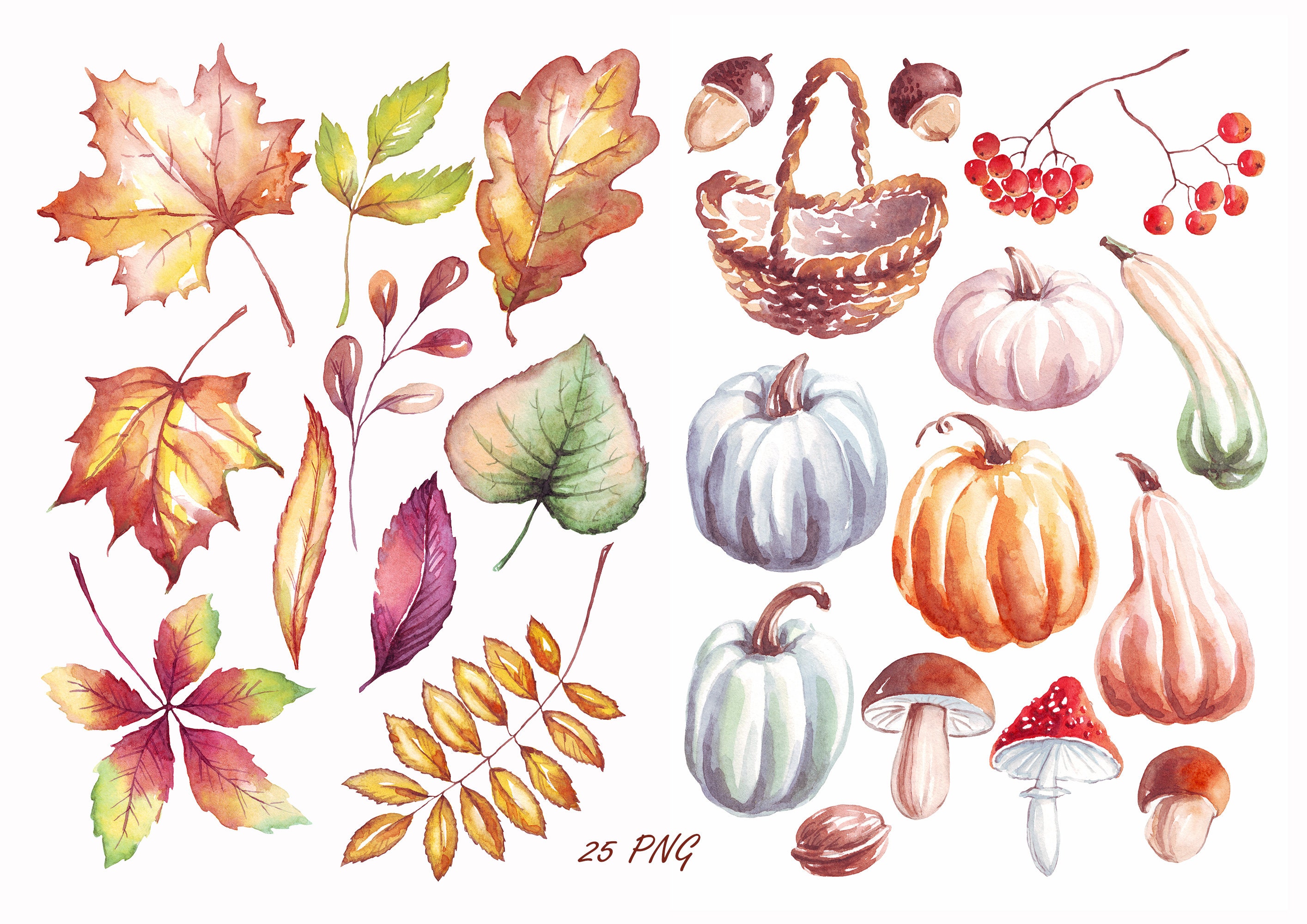 Watercolor Autumn Clipart, Fall Pumpkin Png, COMMERCIAL USE, Hand ...