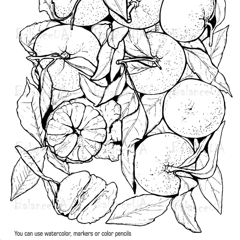 Printable Coloring Page Botanical Coloring Page 85 X 11 - Etsy