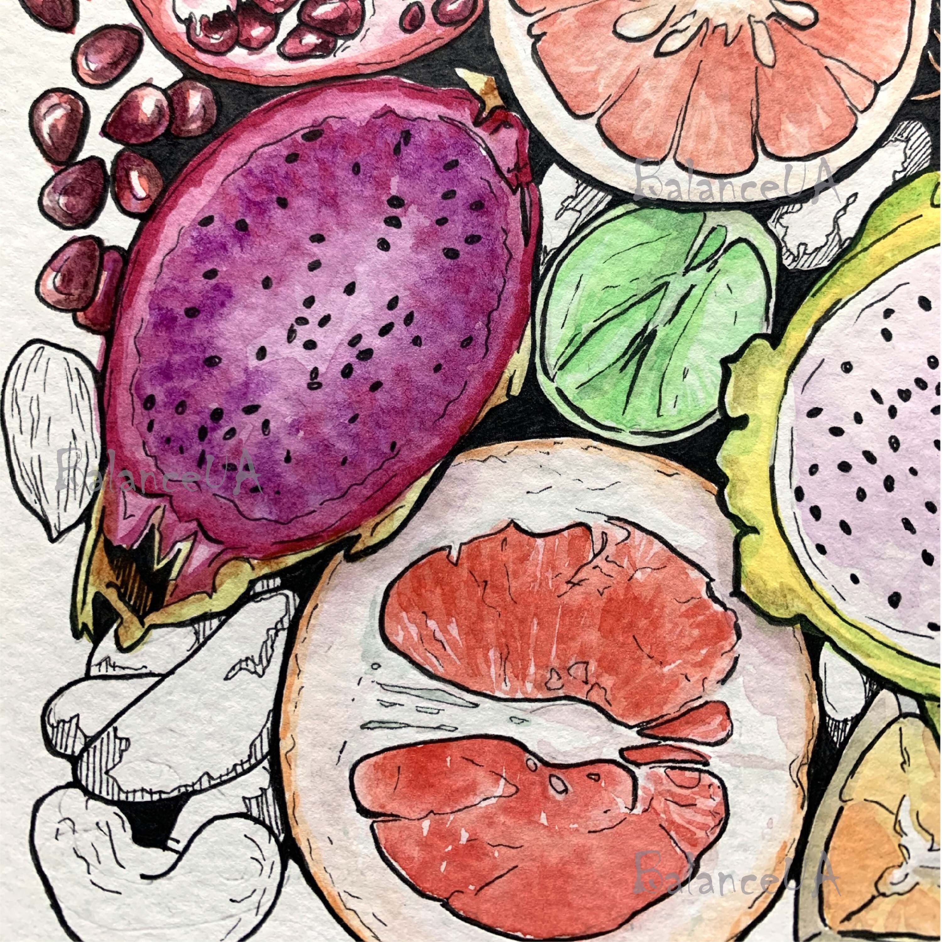 Printable Coloring Page, Exotic Fruits Coloring Page 8,5 X 11 and A4 ...