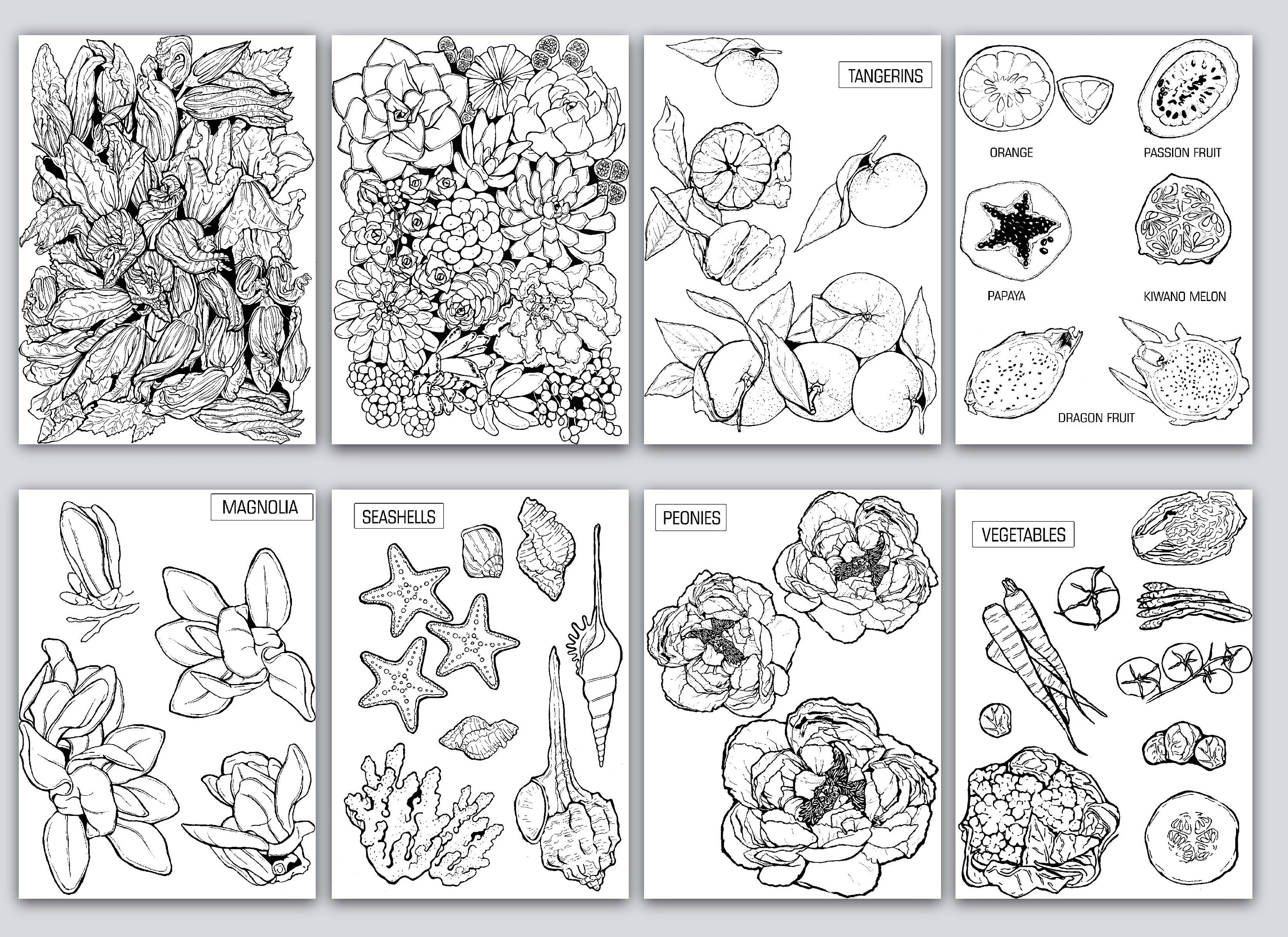 Libro para colorear imprimible para adultos y niños, páginas para ...