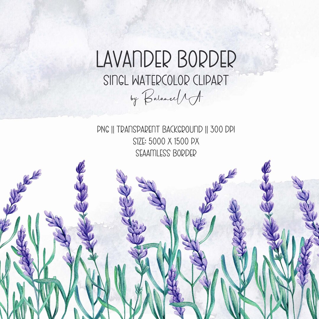 Lavander Seamless Border, Watercolor Single Clipart, Floral Border ...
