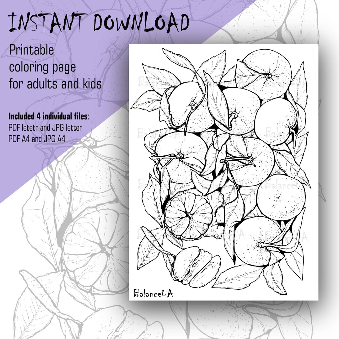 Printable Coloring Page, Botanical Coloring Page 8,5” X 11” and A4 ...