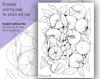 Printable Adult Coloring Pages Botanical Floral Sketches - Etsy