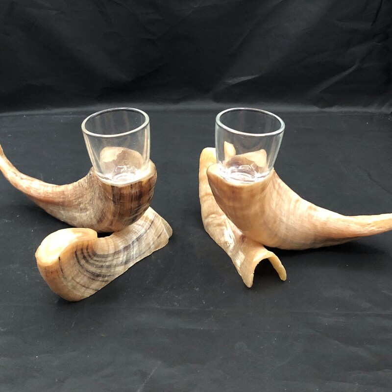 Real Ram Horns - Etsy