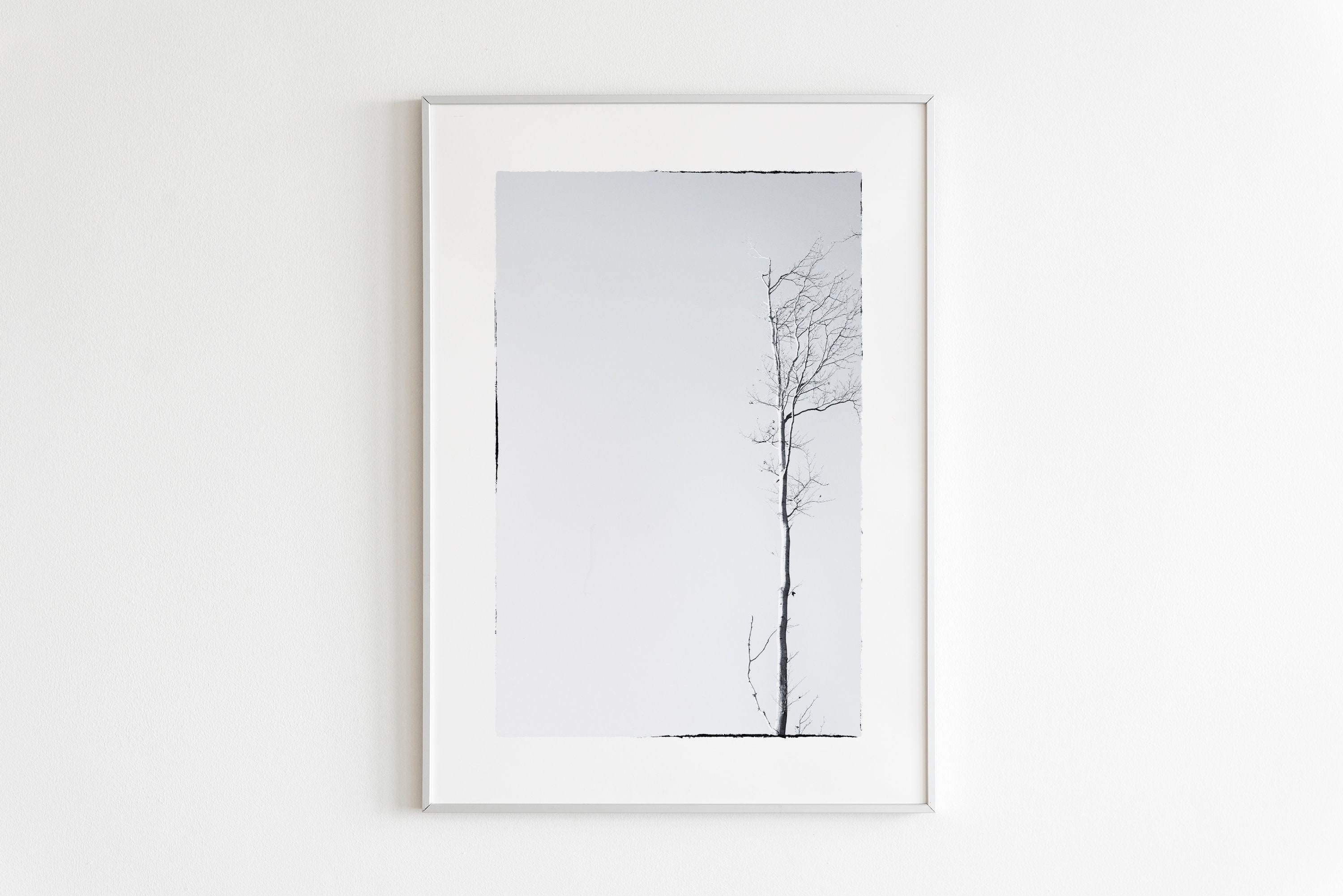 Black and White Tree Print Minimal Winter Tree Black White - Etsy