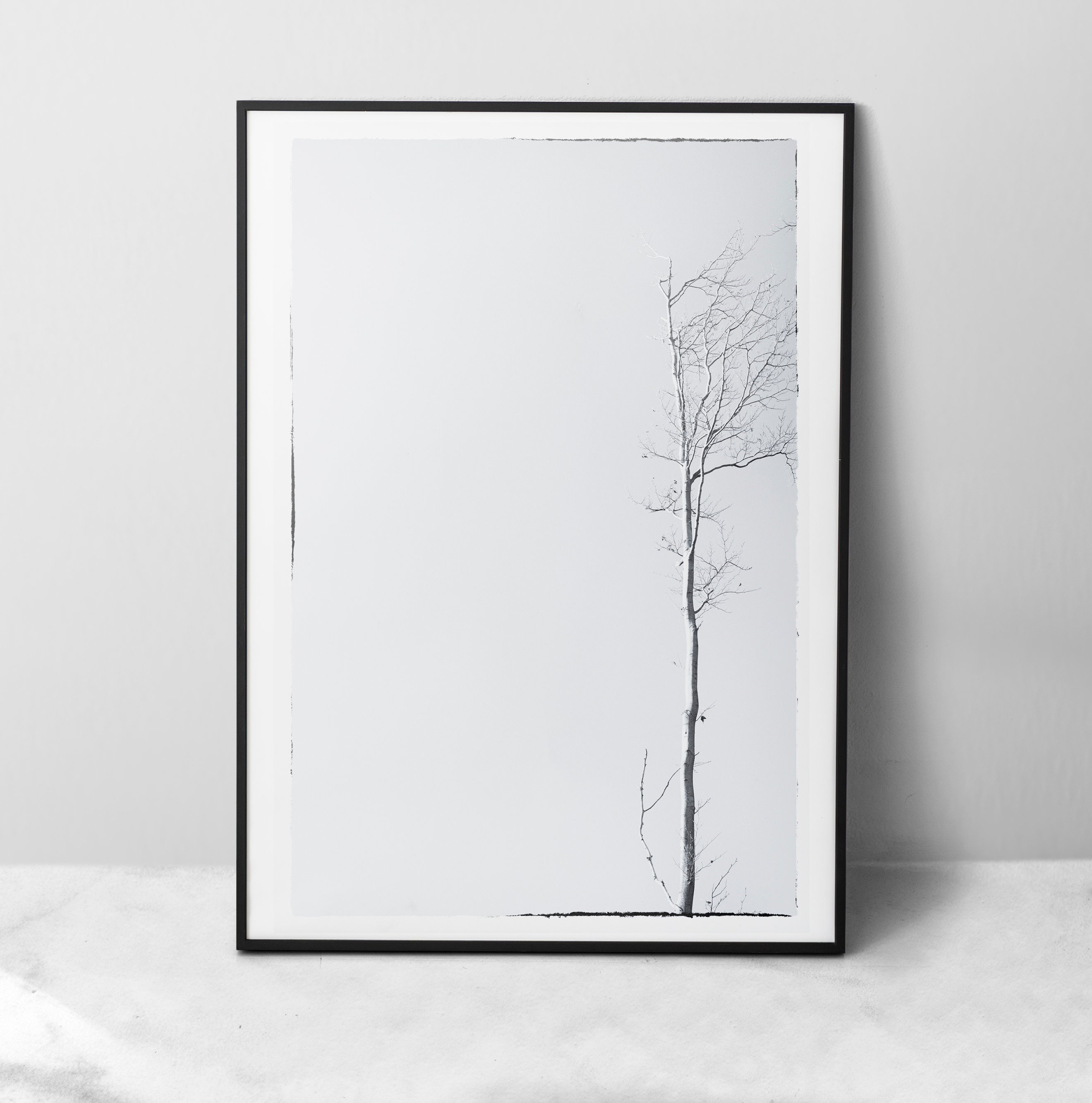 Black and White Tree Print Minimal Winter Tree Black White - Etsy