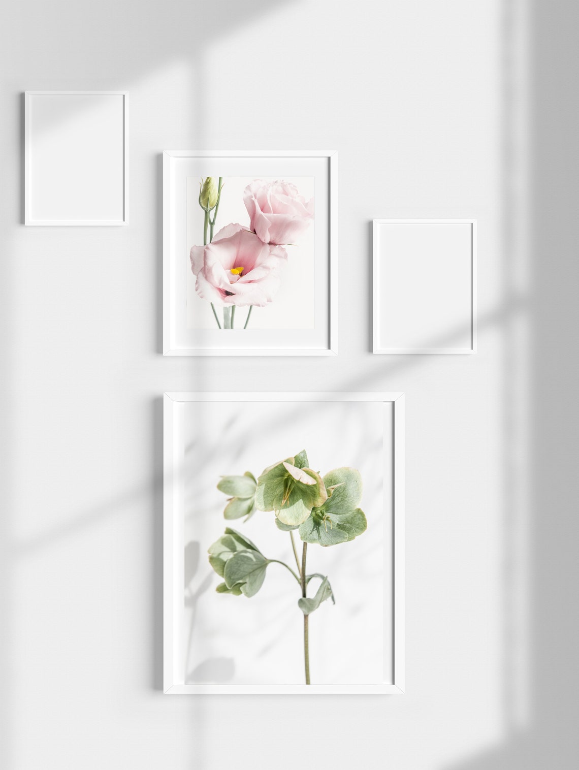 Leaf Wall Art Printable Poster Plant Photography Modern - Etsy