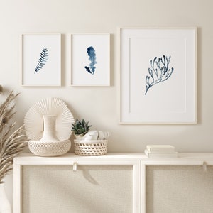 Coastal Set of 3 Prints, Hampton Style Wall Decor, Coastal Cottage ...