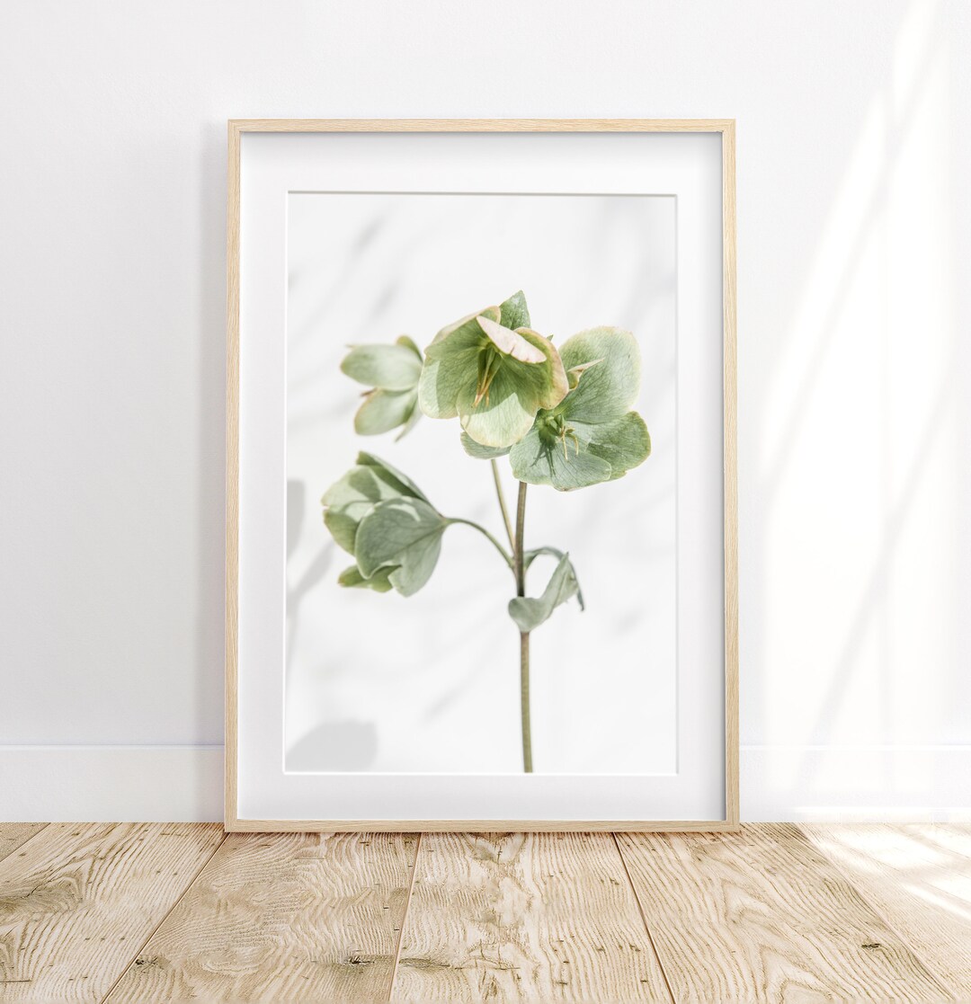 Leaf Wall Art, Printable Poster, Plant Photography, Modern Botanical ...