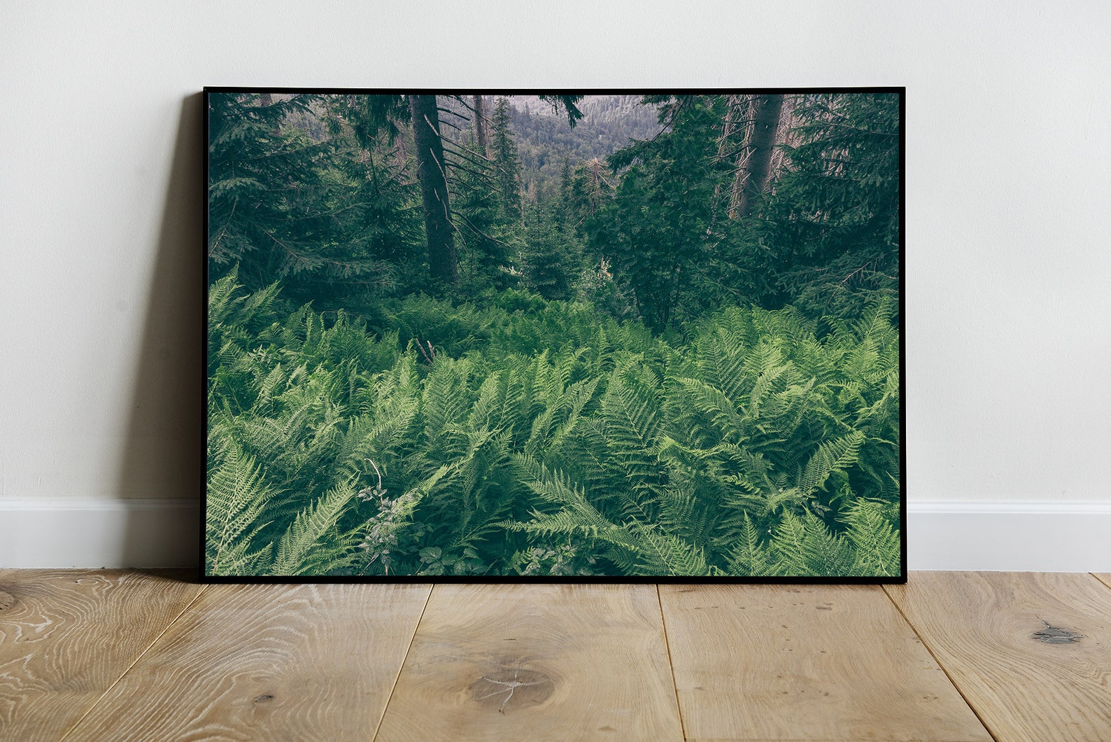 Fern Wall Art, Digital Poster, Wild Nature Forest Photo, Forest ...