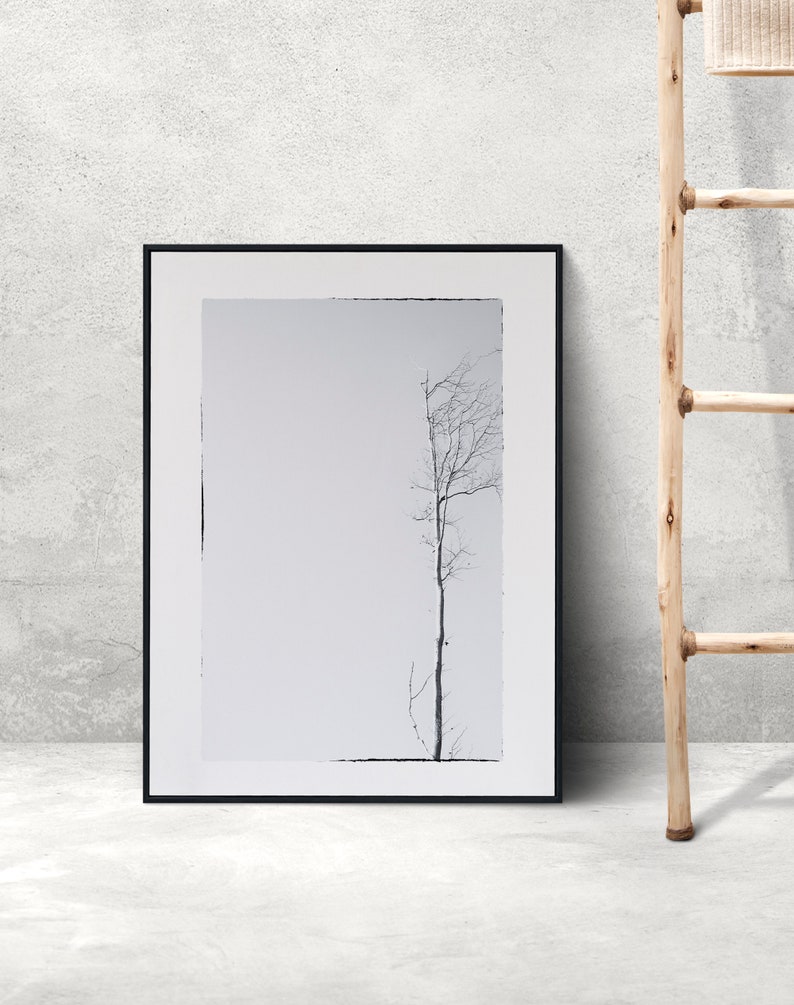 Black and White Tree Print, Minimal Winter Tree, Black White Home Decor ...