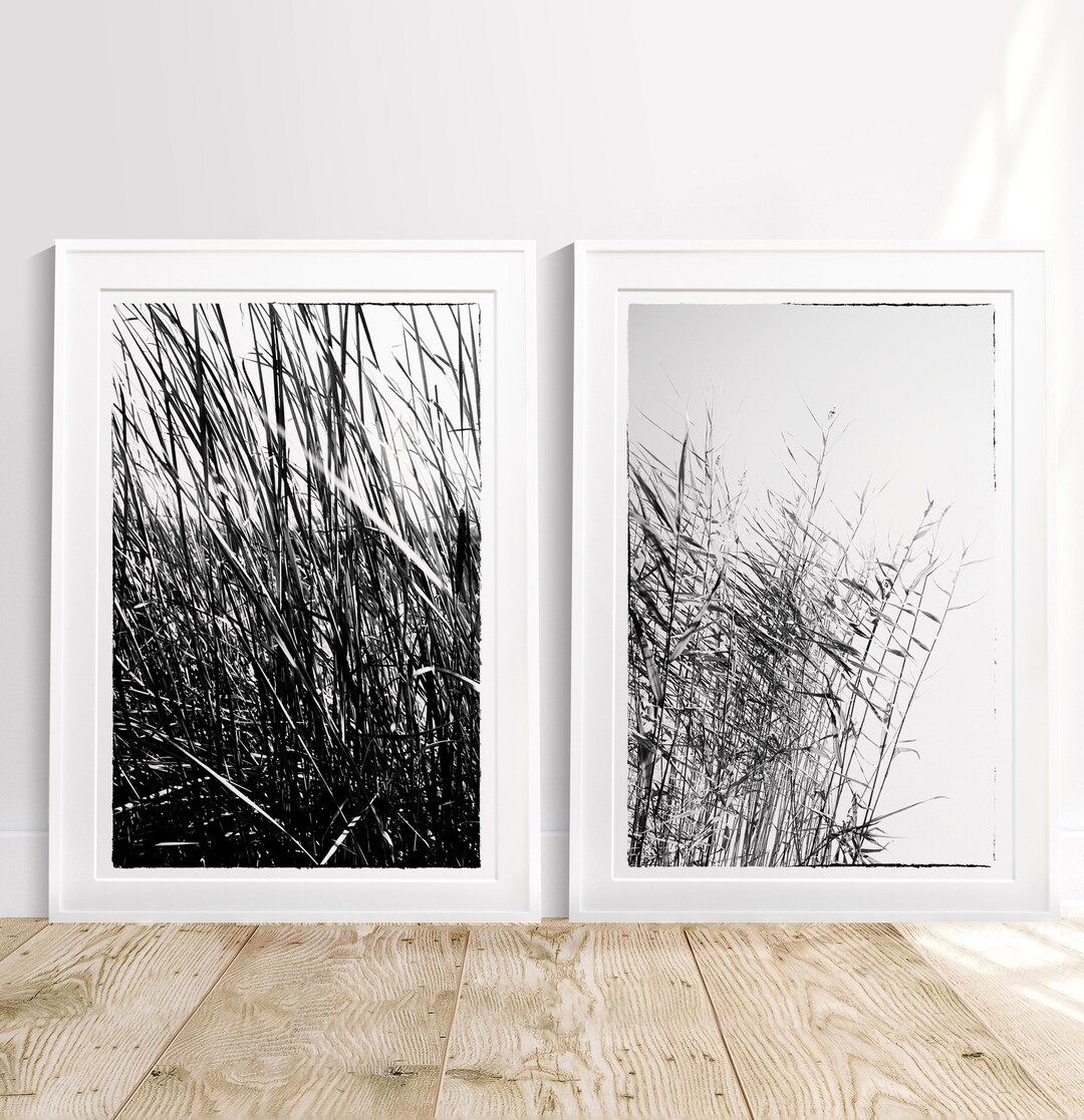 Black and White Nature Photography, Set of 2 Black White Prints, Lake ...
