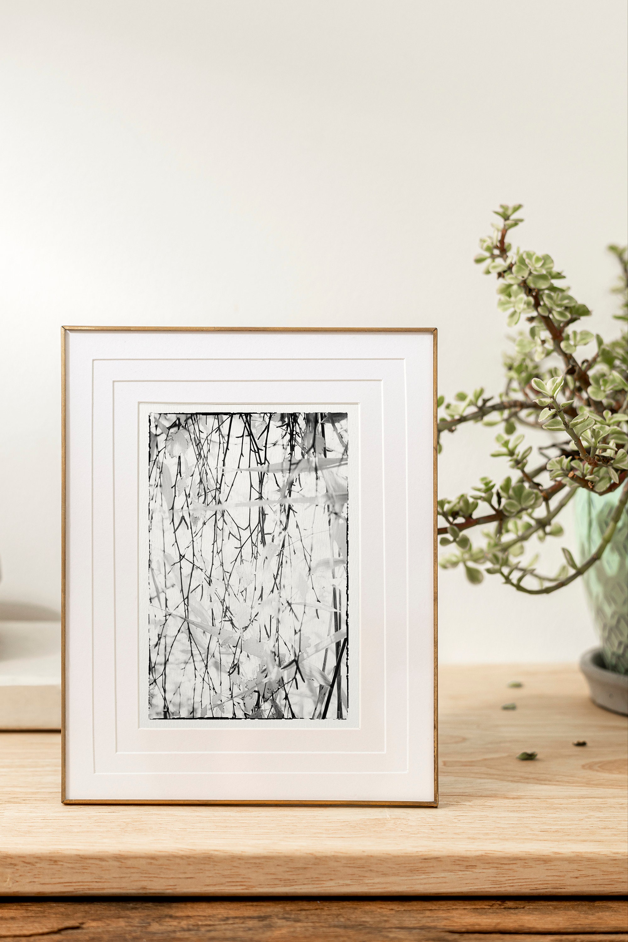 Nature Inspired Prints Tree Branches Art Set of 2 Black - Etsy
