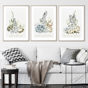 broken conch shell drawing easy