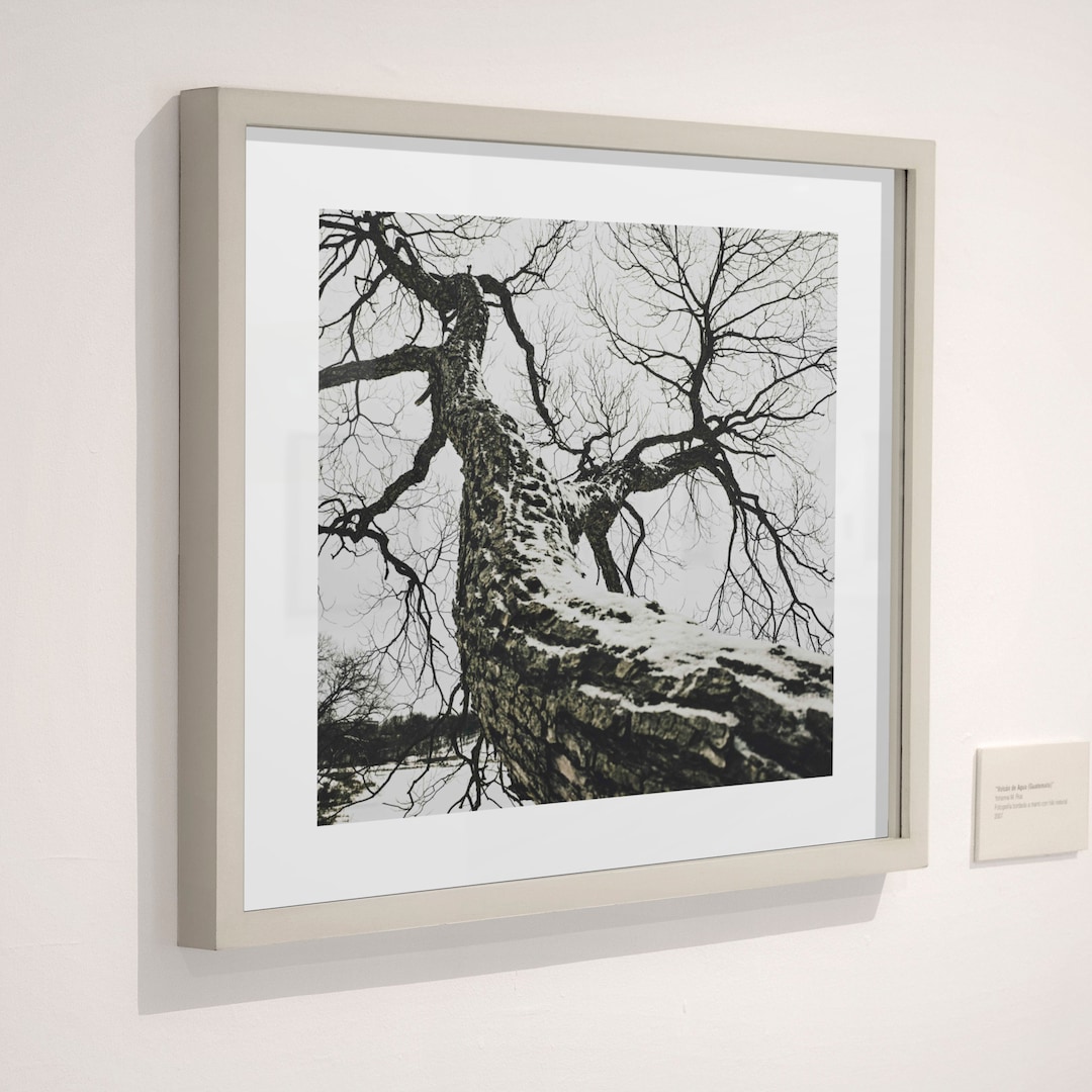 ENDURANCE Printable Art, Télécharger, Tree Art Photography, Tree Art ...