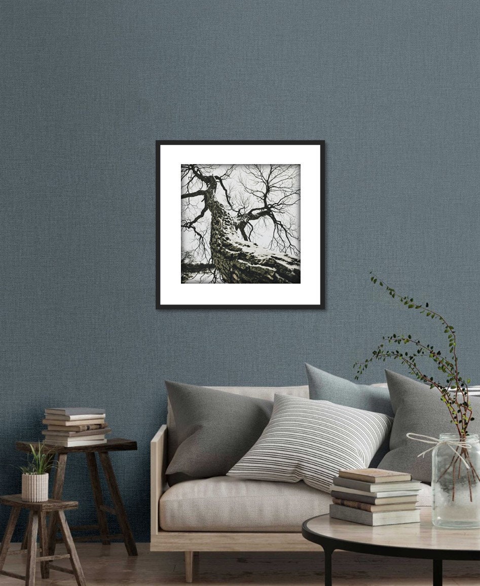 ENDURANCE Printable Art, Télécharger, Tree Art Photography, Tree Art ...