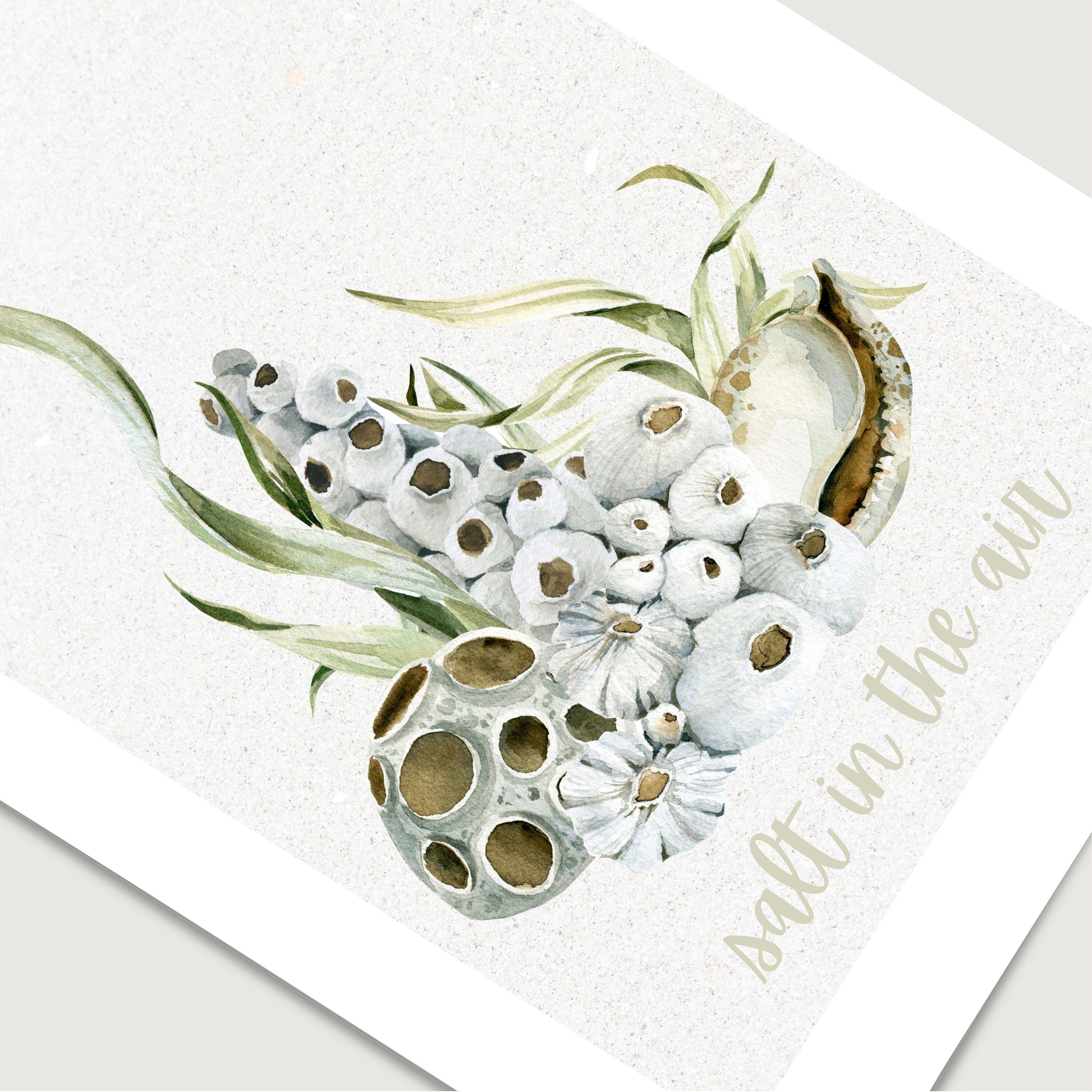 Pastel Shells and Coral Watercolour Wall Art Prints. Set of 3 Conch ...