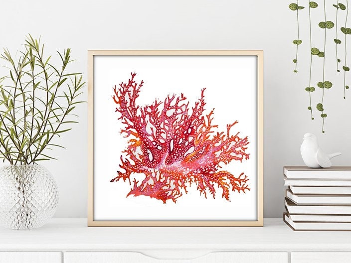 CORAL REEF Printable Art, Instant Download, Coral Print, Beach Print ...