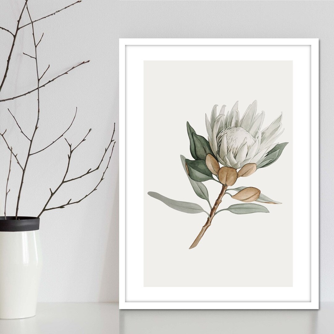 Modern Australian Pastel Native Flower & Blue Gum Leaves Room Décor ...