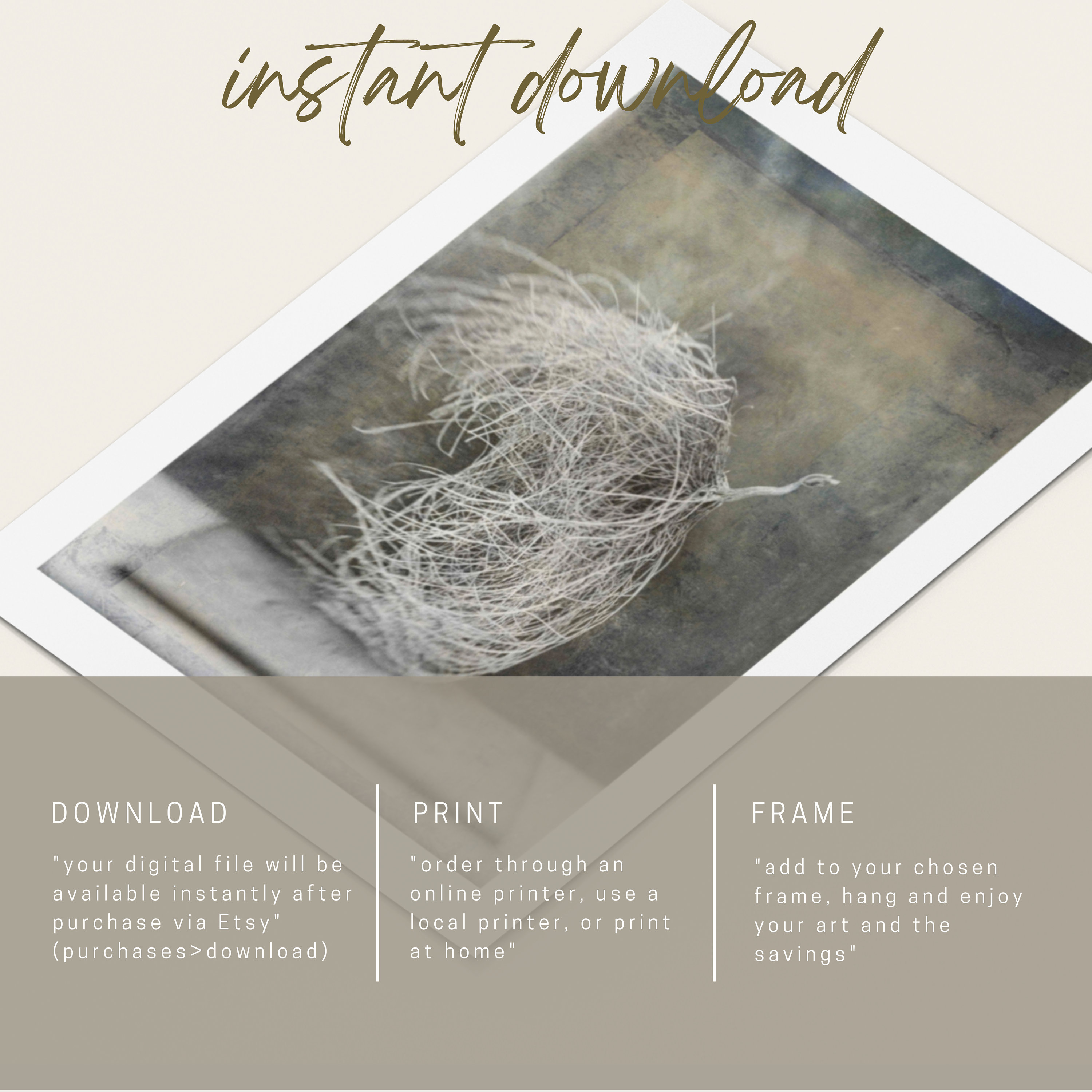 Western Boho Desert Tumbleweed Set Two Wall Decor, Japanese Ikebana ...