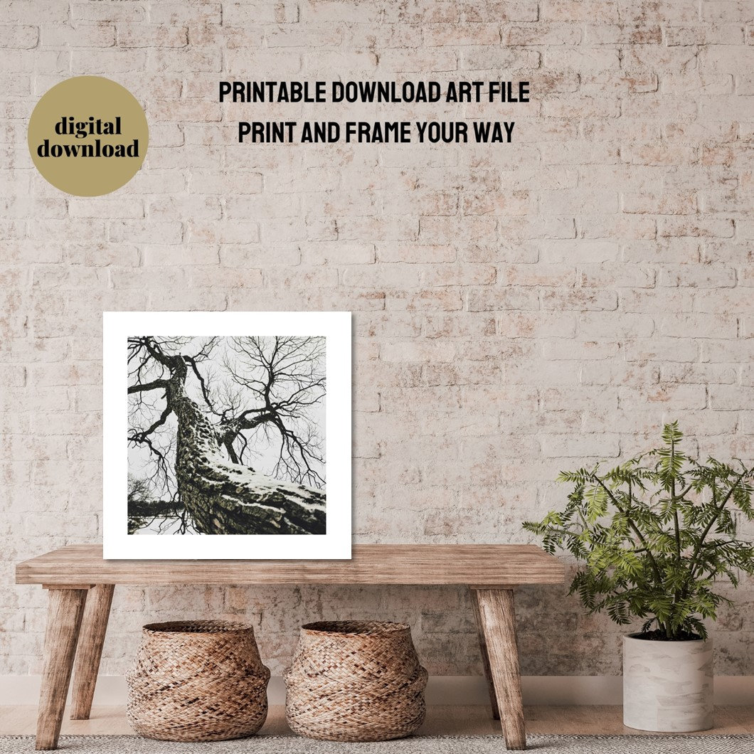 ENDURANCE Printable Art, Télécharger, Tree Art Photography, Tree Art ...