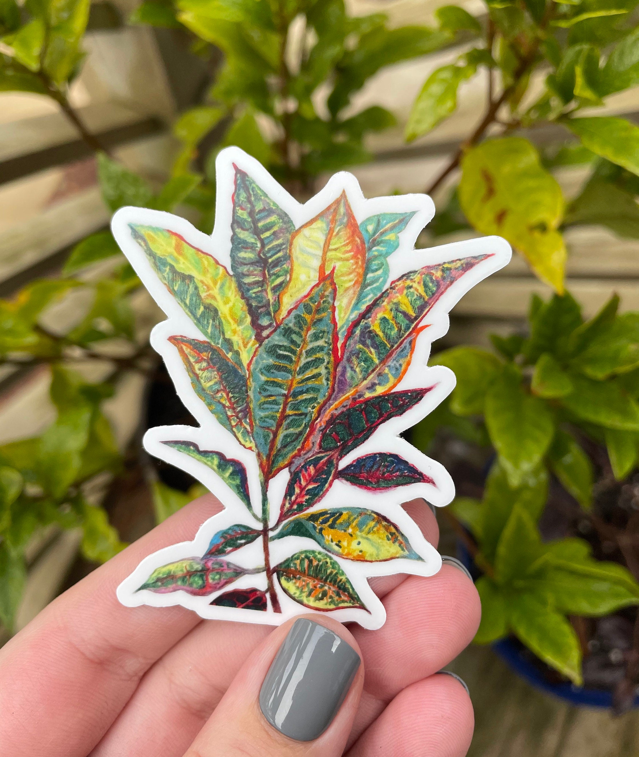 Tropical Plant Sticker - Etsy