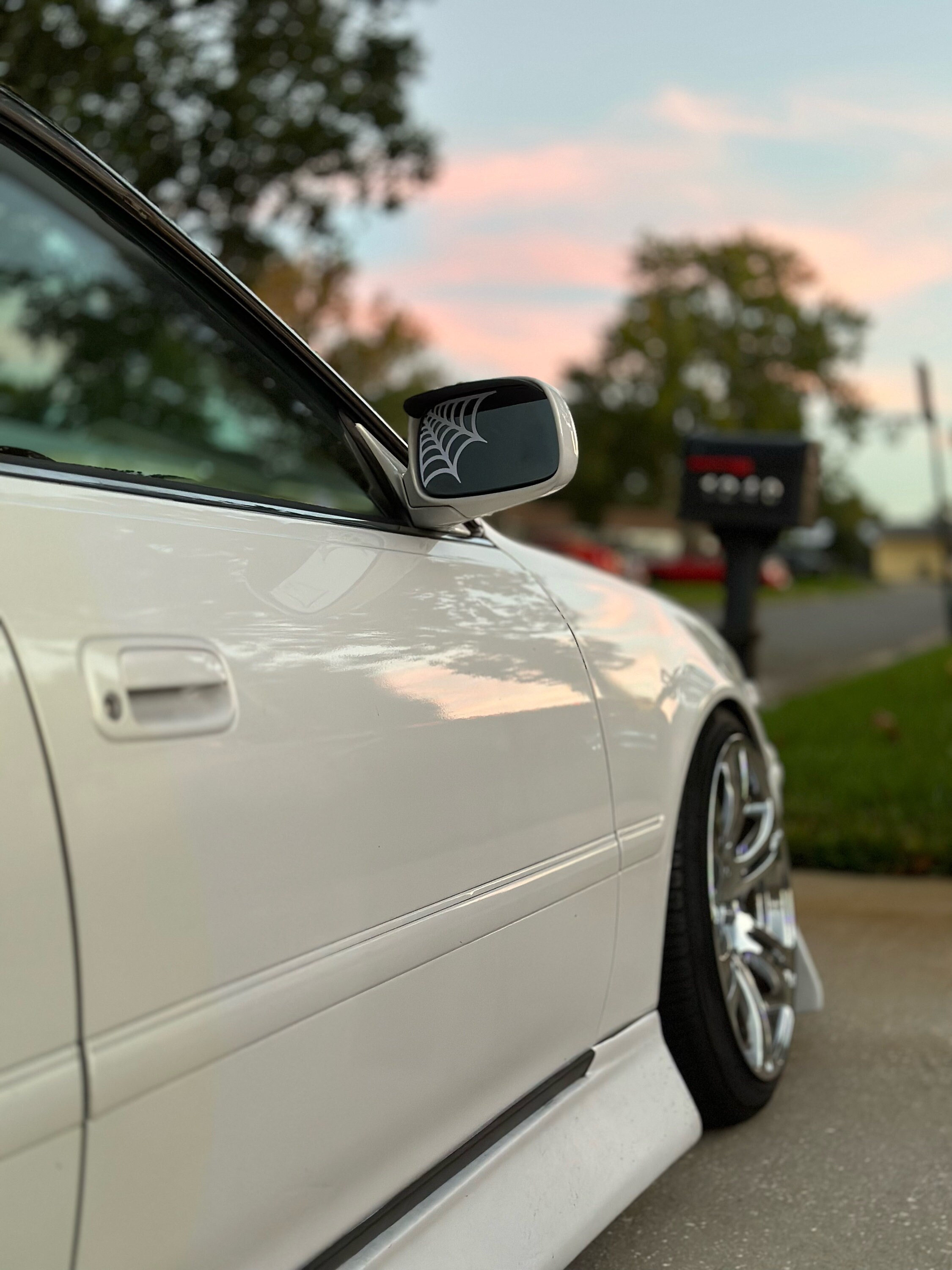 SPIDER WEB DECAL - Etsy