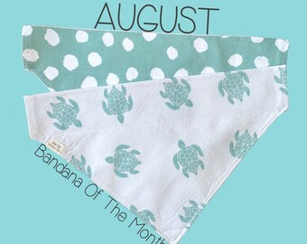 Turtle Bandana - Etsy
