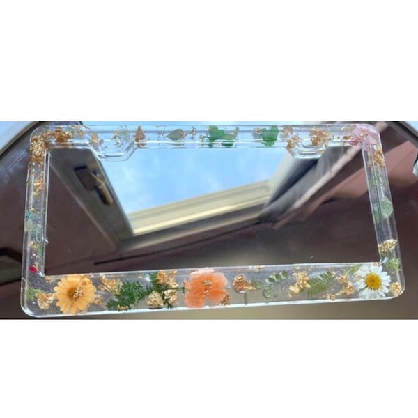 Cute License Plates - Etsy