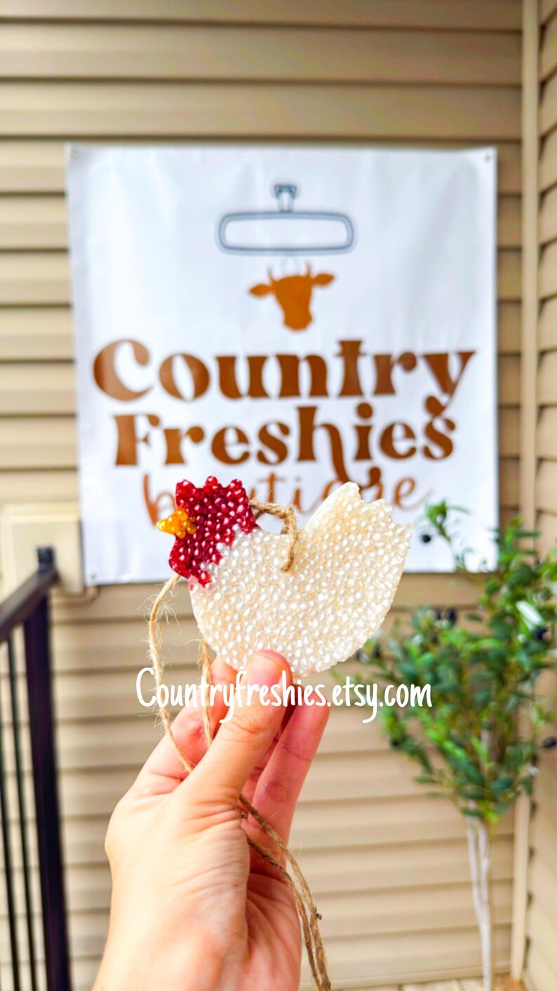 Chicken Freshie, Car Freshie, Freshy, Freshies - Etsy