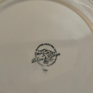 Blue Ridge Southern Pottery Underglaze Hand Painted Plates Apple Crunch ...