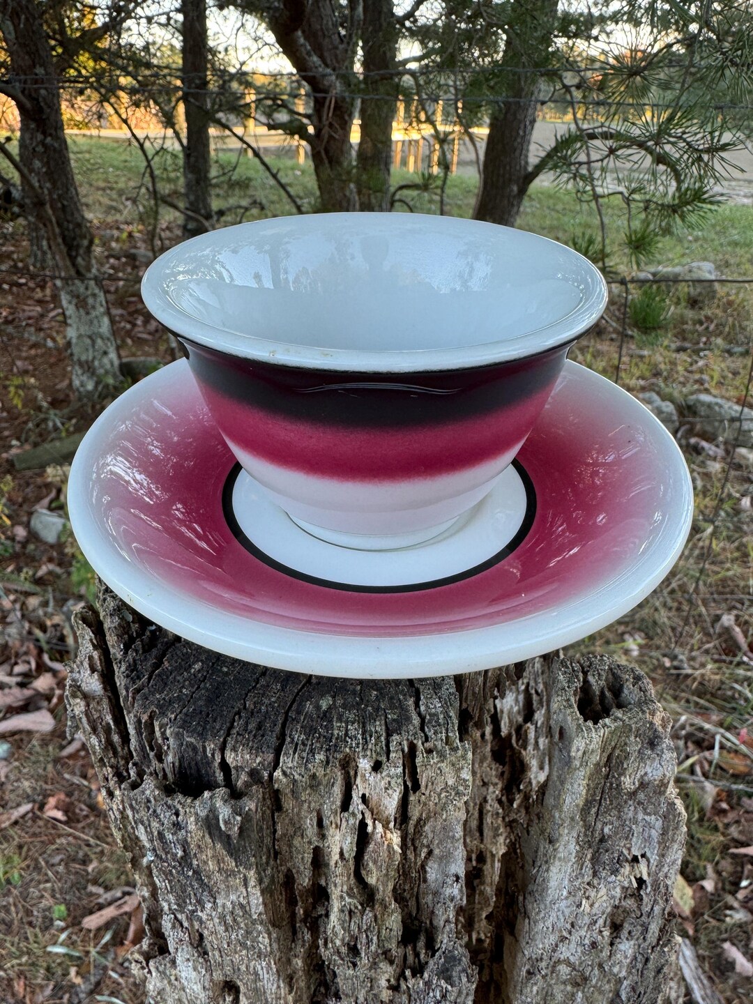 Jackson China Restaurant Ware Chili Bowl and Saucer Burgundy and Black ...