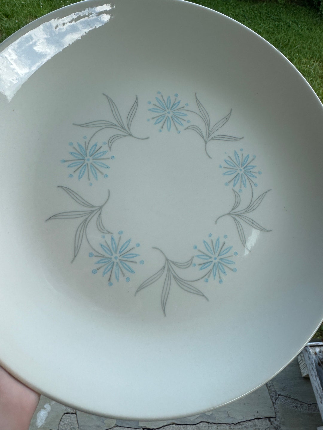 Homer Laughlin Dura-print Dinner Plates: Blue Star Flower, Set of 4 (9. ...