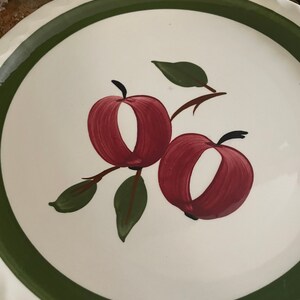 Blue Ridge Southern Pottery Underglaze Hand Painted Plates Apple Crunch ...