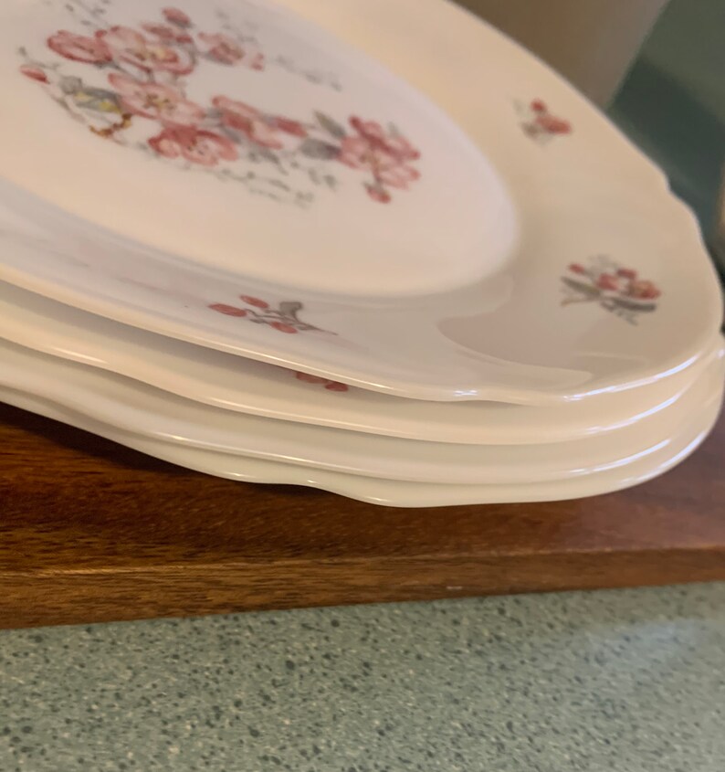 Arcopal Dinnerware Florentine Pattern Pink Blossom Milk Glass - Etsy