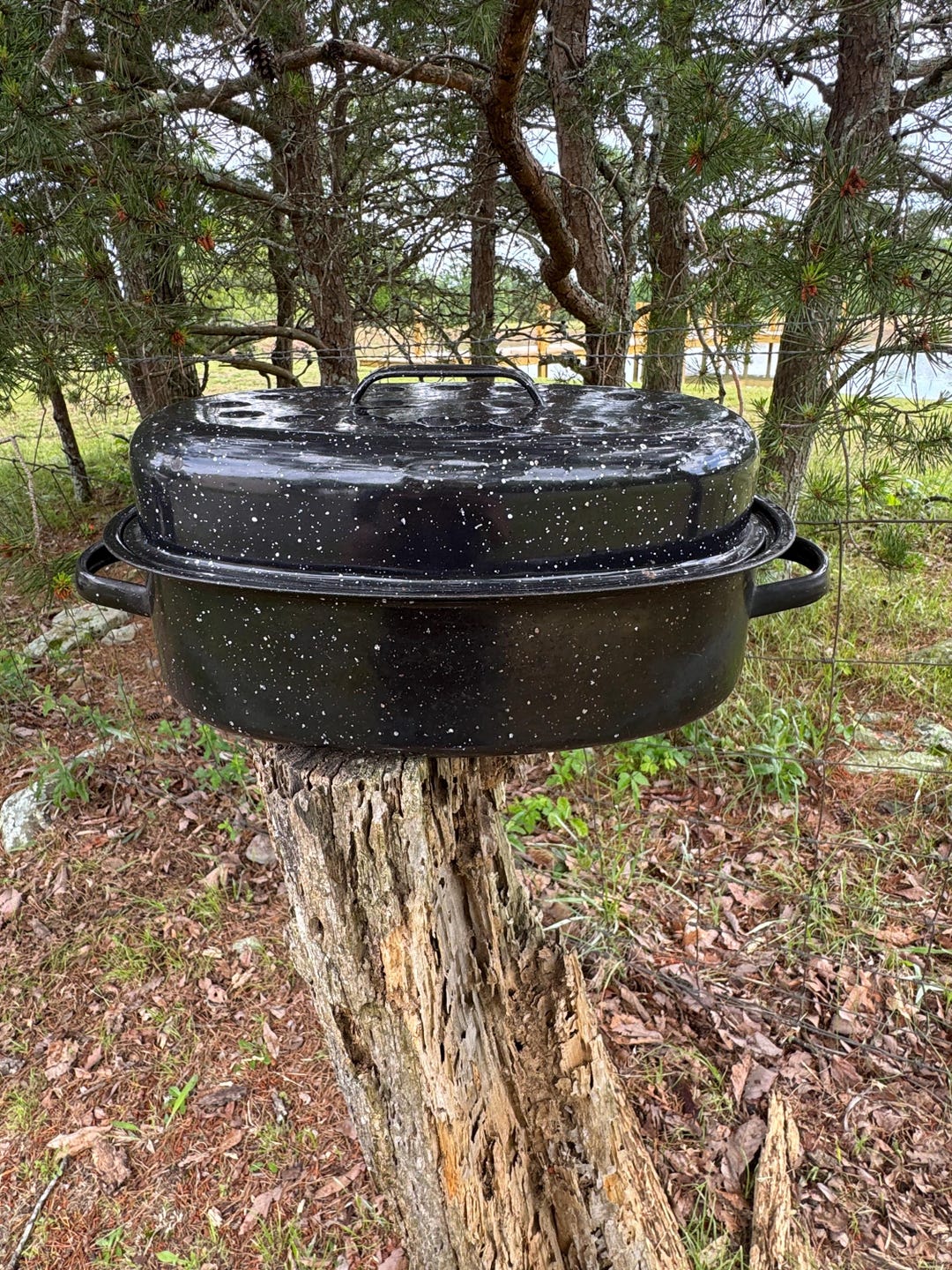 Vintage Enamelware Roasting Pan Dutch Oven Black Splatter Ware Rustic ...