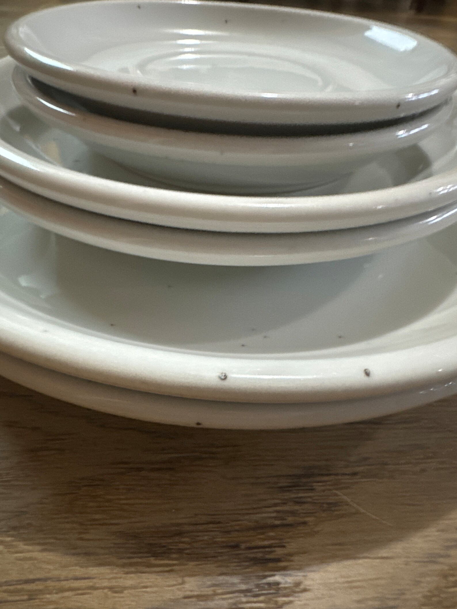 Vintage Galaxy Trend Pacific Milkstone Dinnerware Set: White Speckled ...