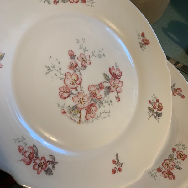 Arcopal Dinnerware - Etsy