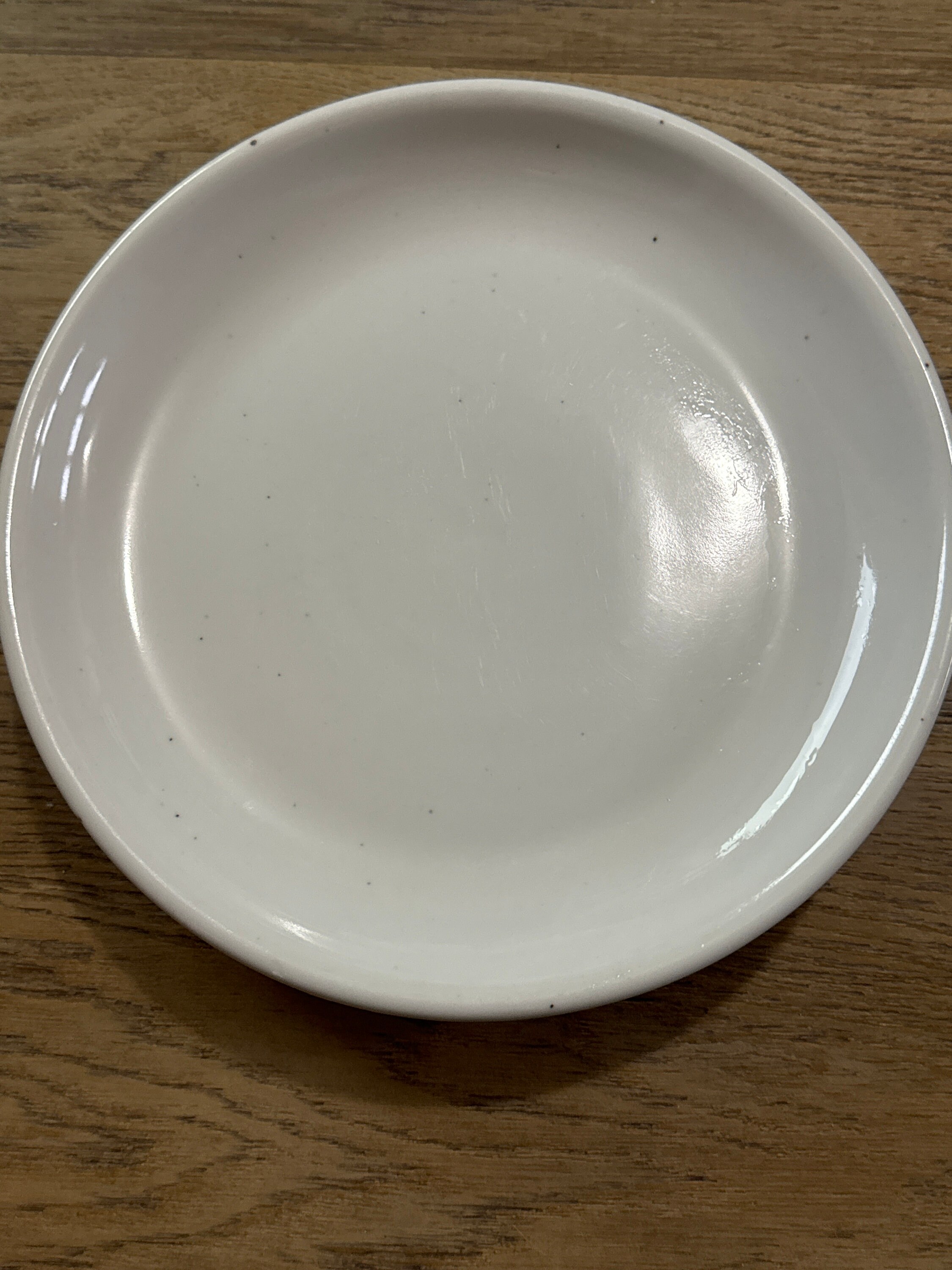 Vintage Galaxy Trend Pacific Milkstone Dinnerware Set: White Speckled ...