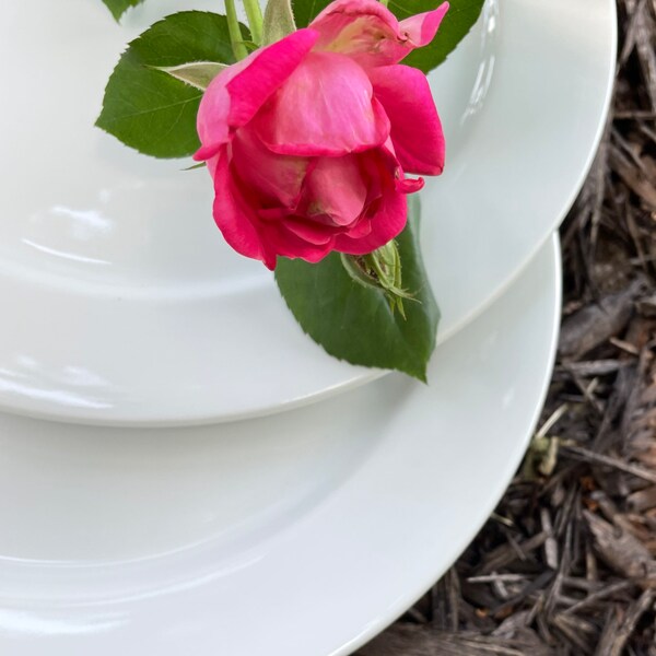 German Dinnerware - Etsy