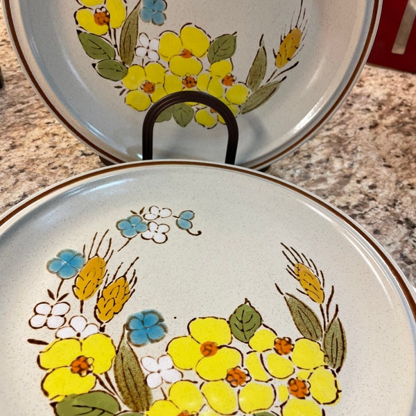 1970s Dinnerware - Etsy