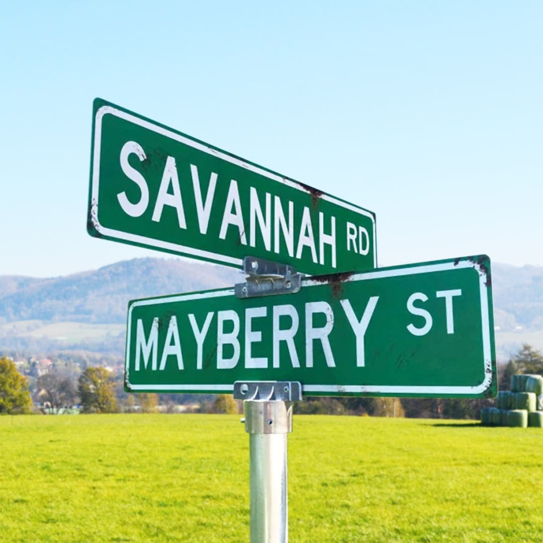 Personalized Street Sign, Street Sign, Street Signs, Rustic Sign, Wall ...