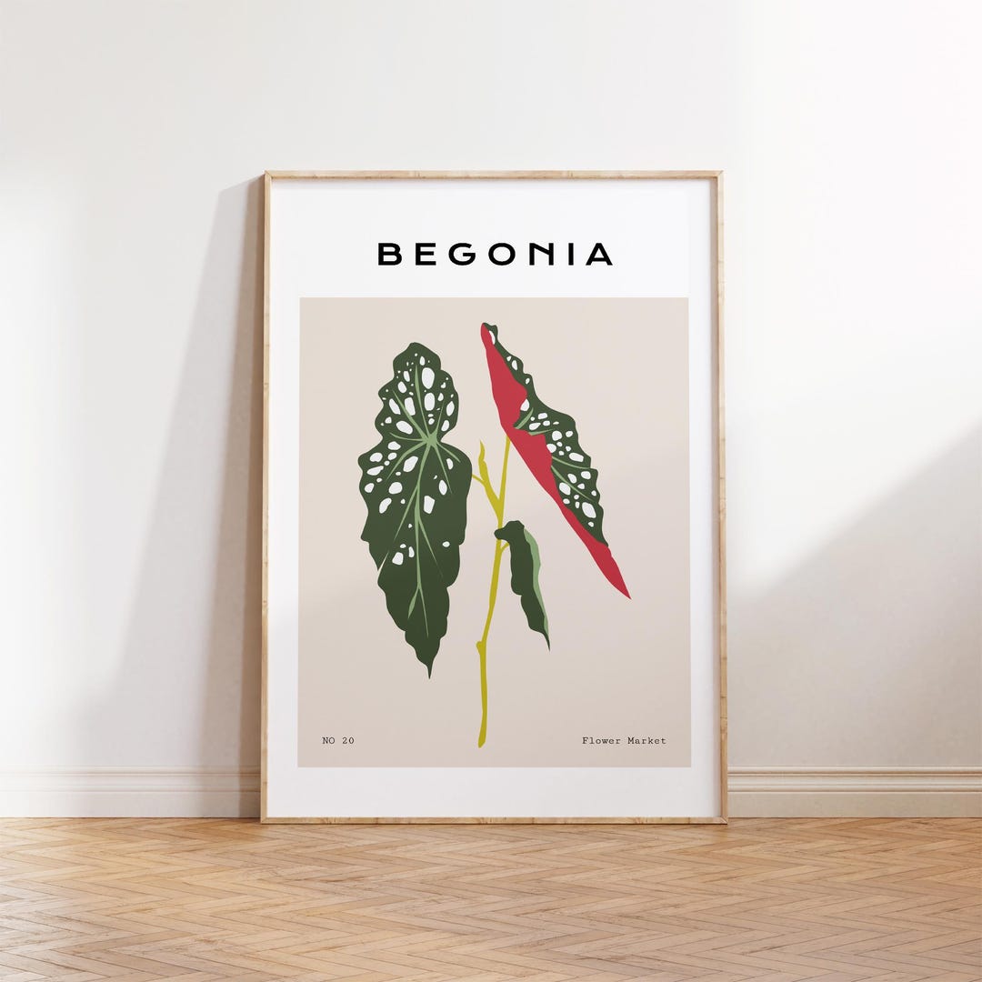 Begonia Print: Minimalist Green Leaf Botanical Art (digital Download ...